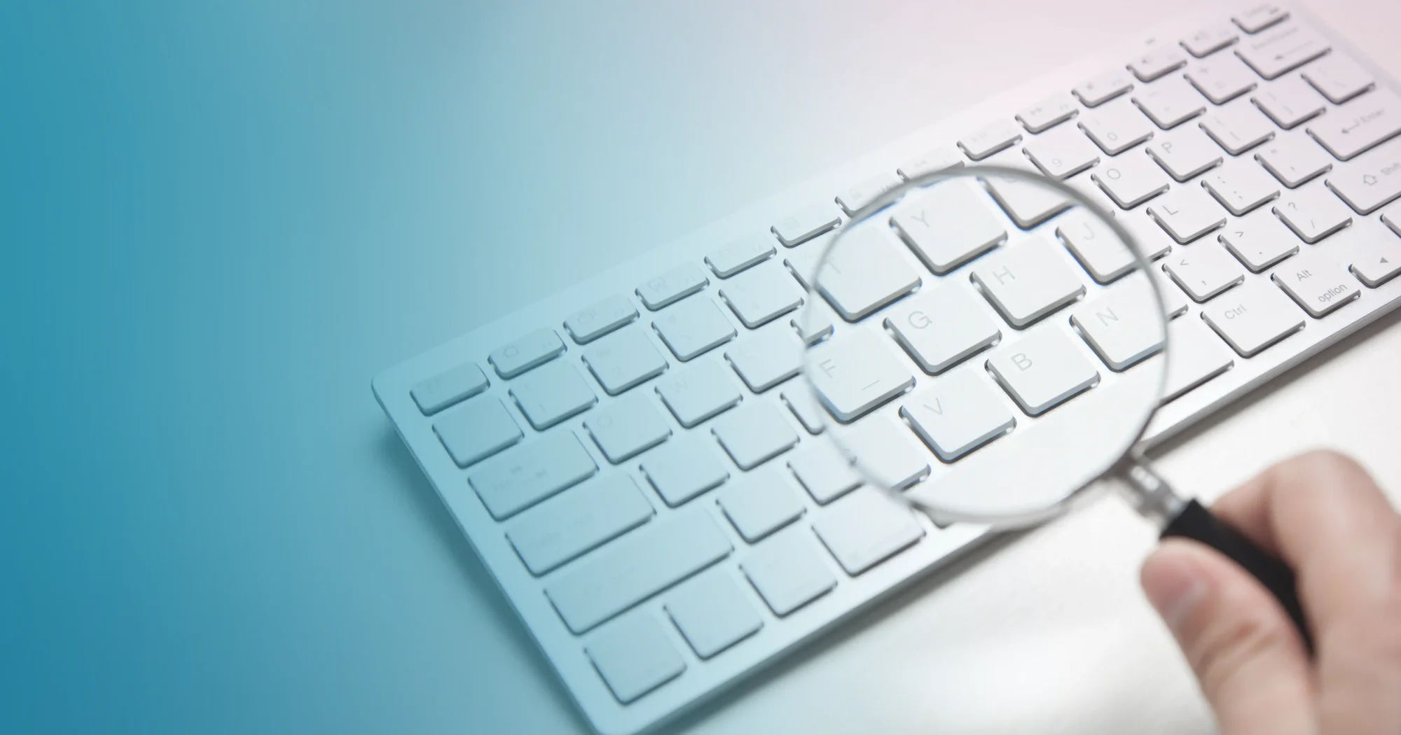 DENIC eG: Domain Services: Whois, Transit & Tools | DENIC